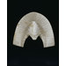 Picadil | V&A Search the Collections