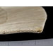 Picadil | V&A Search the Collections