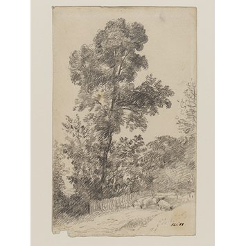 Trees at Hampstead | John Constable | V&A Search the Collections