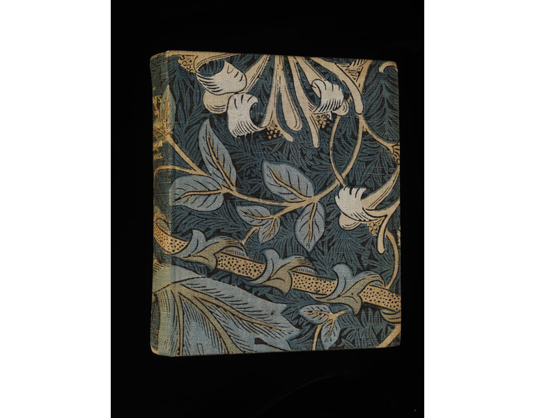 The roots of the mountains: wherein is told somewhat of the lives of ...